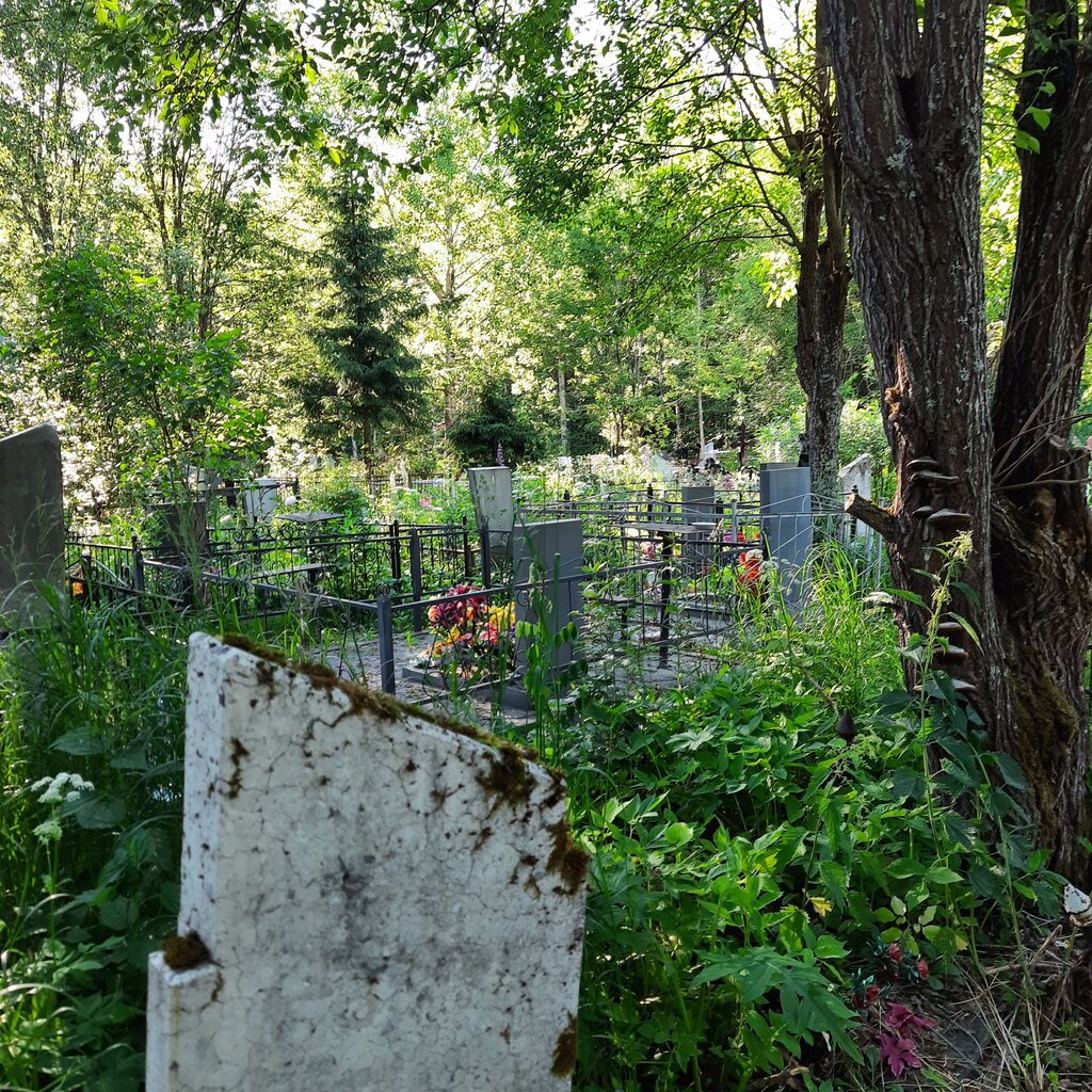 Mezarlıklar Старое городское кладбище, Yaroslavskaya oblastı, foto