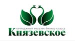 Knyazevskoe (Sverdlovsk Region, gorodskoy okrug Pervouralsk, kottedzhny posyolok Knyazevskoye), arazi dizisi  Sverdlovskaya oblastından