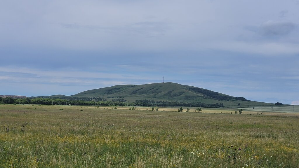 Dağ zirvesi Гора Мурзинка 478 метров, Altayski krayı, foto