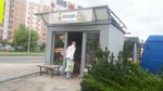 Магазин овощей и фруктов (Avtomobilnaya ulitsa No:22к1), manavlar  Kaliningrad'dan
