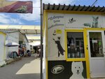 Розовая Пантера (50 Let Oktyabrya Street No:5А), petshop  Volgograd'dan