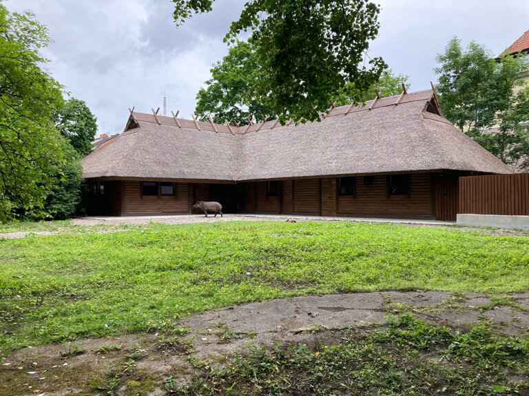 Hayvan muhafazaları Тапиры, Kaliningrad, foto