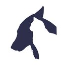 Veterinary Tables (Moskovskoe Highway No:23к2), veteriner materyalleri ve ekipmanları  Saint‑Petersburg'dan