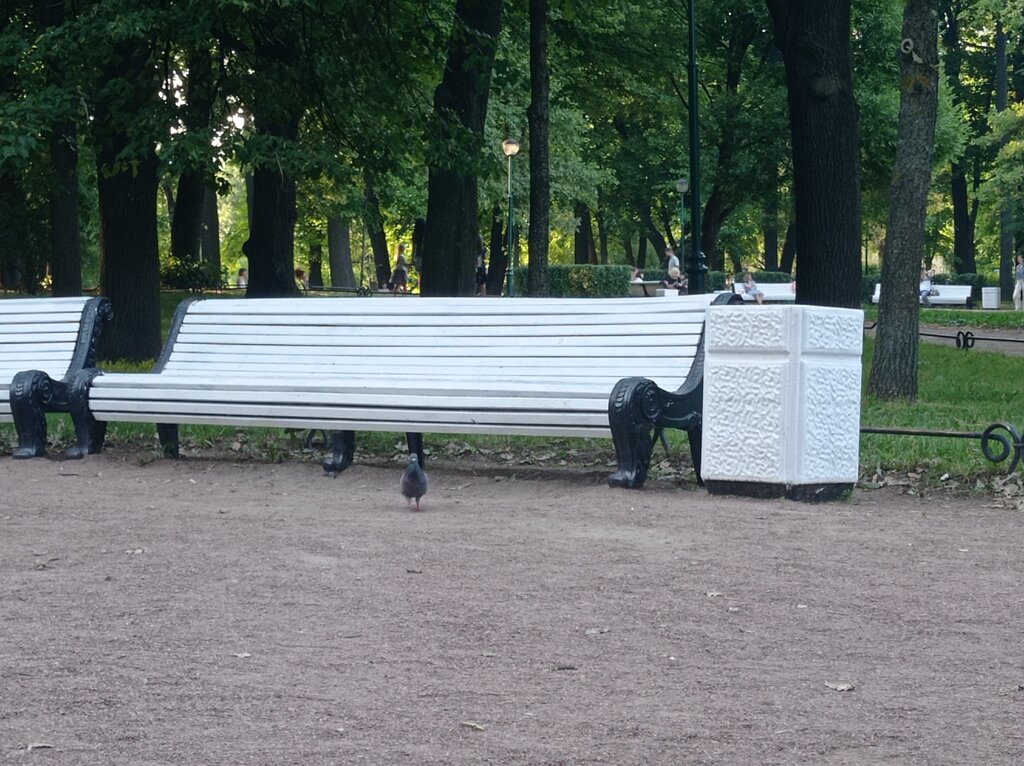 Bank Bench, Saint‑Petersburg, foto