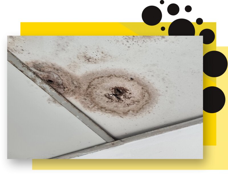 i̇nşaat tedarik firmaları Advanced Structural Drying Technologies, Tennessee Eyaleti, foto