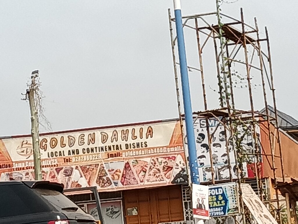 Restoran Golden Dahlia, Dünya, foto