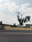 Ministère de la Justice, des Droits humains et de la protection des autochtones (Brazzaville, Plateau), devlet kurumları ve bakanlıklar  Brazzaville'den