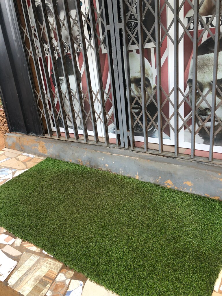 Berberler Royal Cuts, Dünya, foto