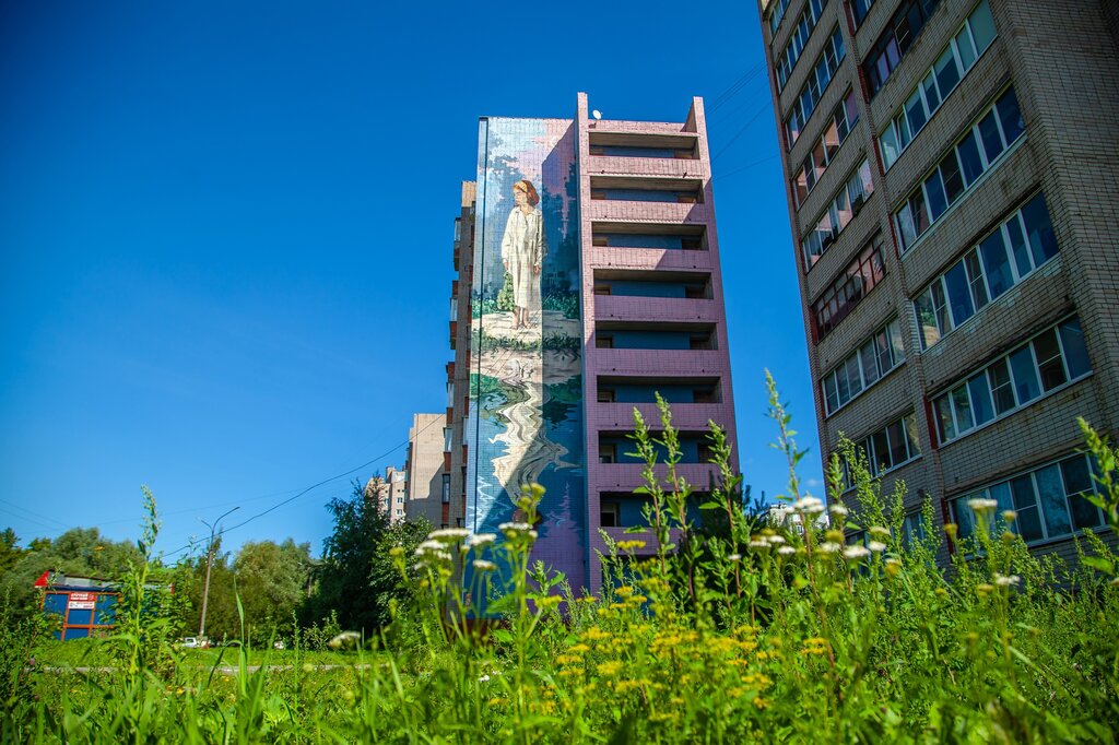 Sokak sanatı Мурал Вечер на Ильмене, Velikiy Novgorod, foto