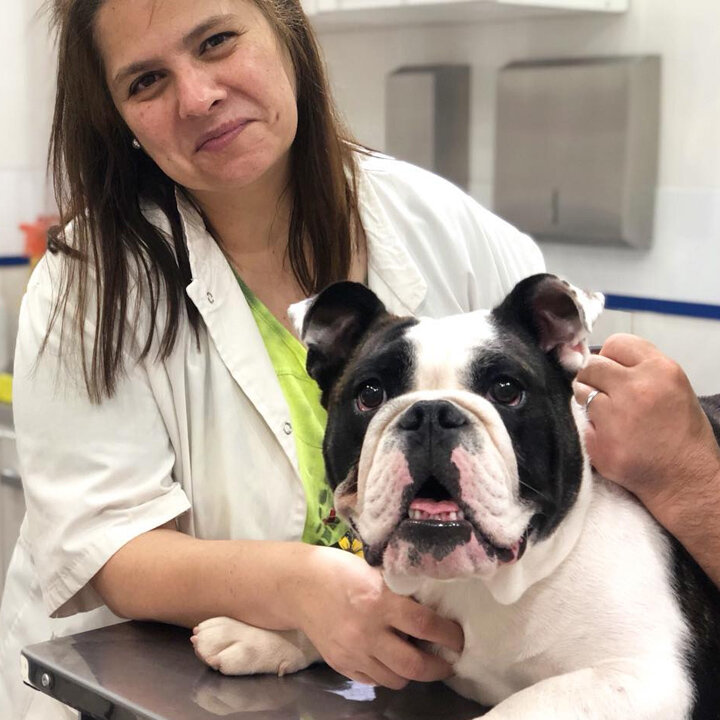 Veteriner klinikleri Clinica Veterinaria la Esquina de Zoe, , foto