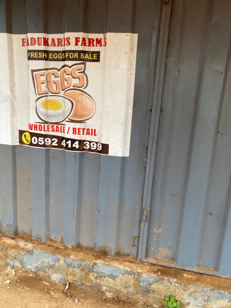 Kanatlı hayvan ürünleri ve yumurta Fadukaris farm, Dünya, foto