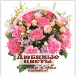 Favorite flowers (Krasnodarskaya Street No:57к3), çiçekçiler  Moskova'dan