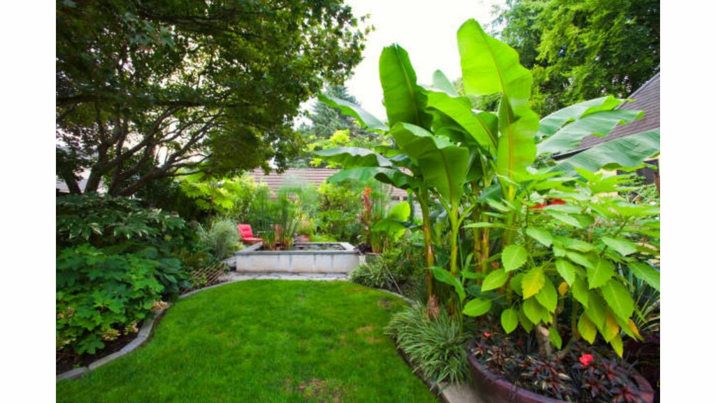 Peyzaj tasarımı Bioeco, Lima, foto