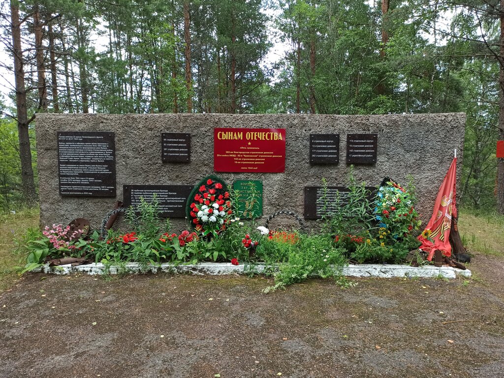Anıt, heykel Участникам боев на реке Вуокса, Saint‑Petersburg ve Leningradskaya oblastı, foto