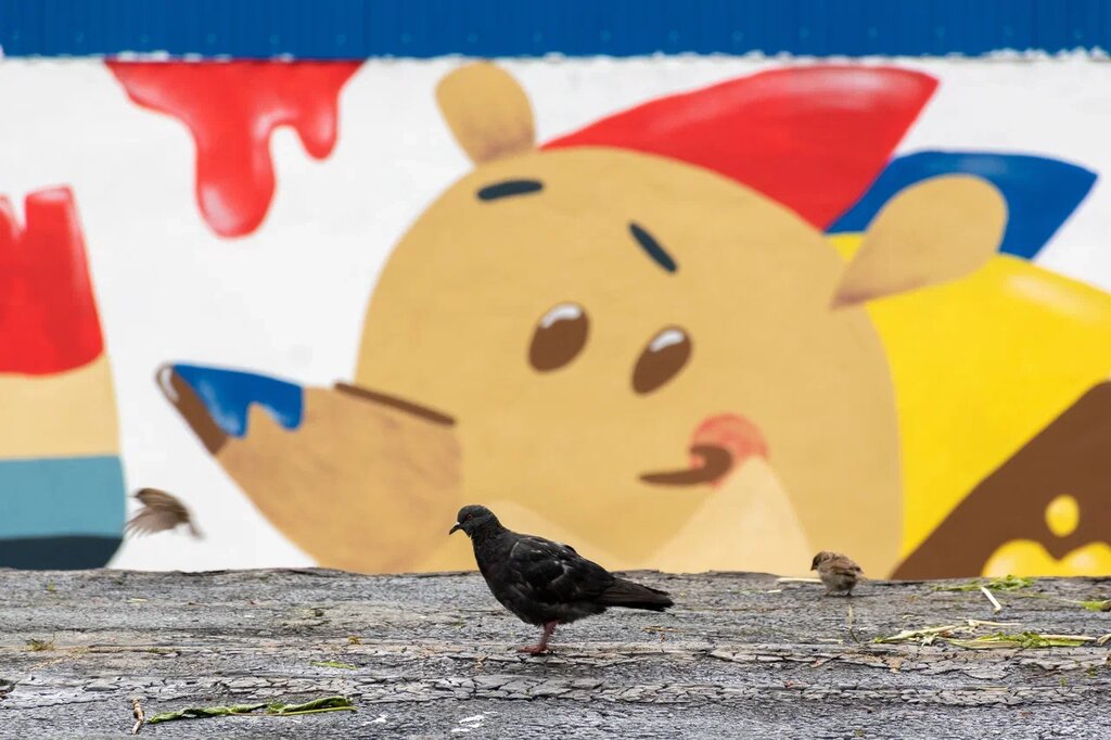 STENOGRAFFIA Ёж, Yekaterinburg, foto