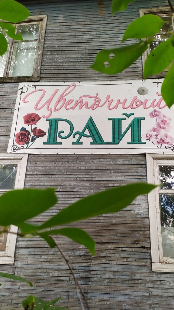 Çiçekçiler Cvetov Ray, Arhangelskaya oblastı, foto