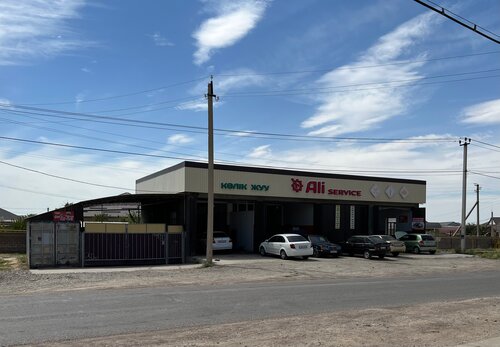 Otomobil servisi Ali Servis, Sarıağaş, foto