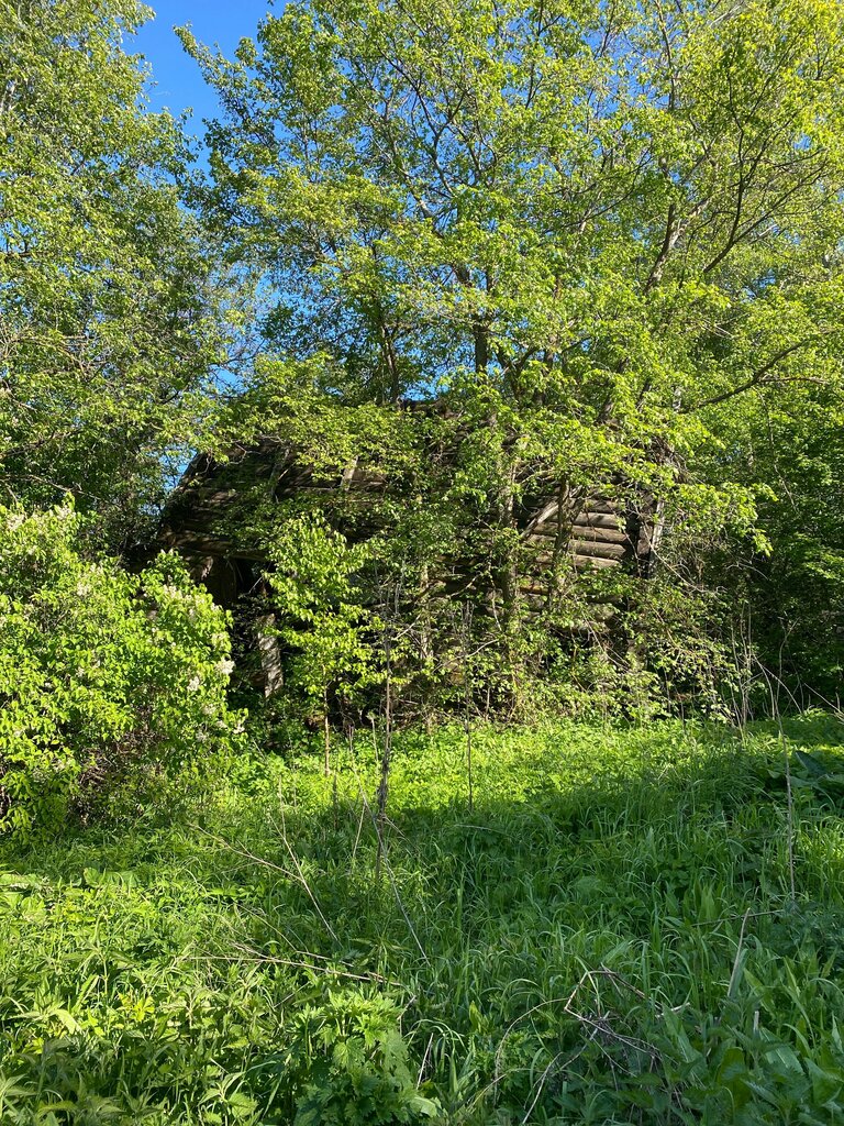 Turistik yerler Руины усадьбы Салтыковой, Saratovskaya oblastı, foto