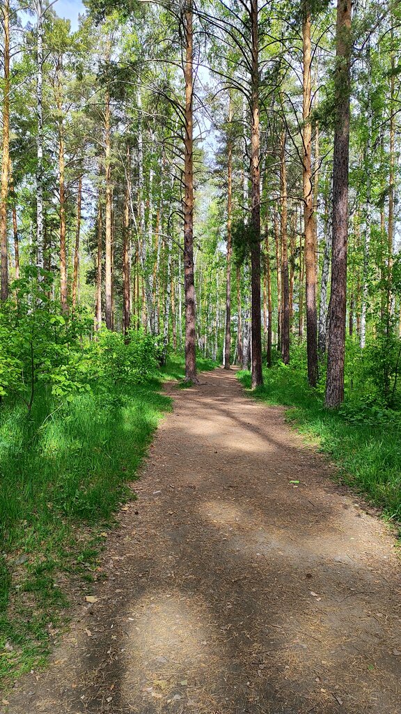 Kültür ve eğlence parkları сквер имени П.П. Бажова, Snejinsk, foto