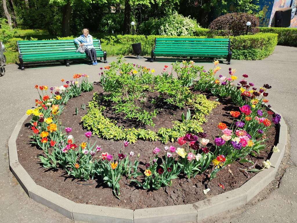 Kültür ve eğlence parkları 1 Maya Garden, İvanovo, foto