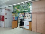 Хатико (prospekt Komarova No:6), petshop  Omsk'tan