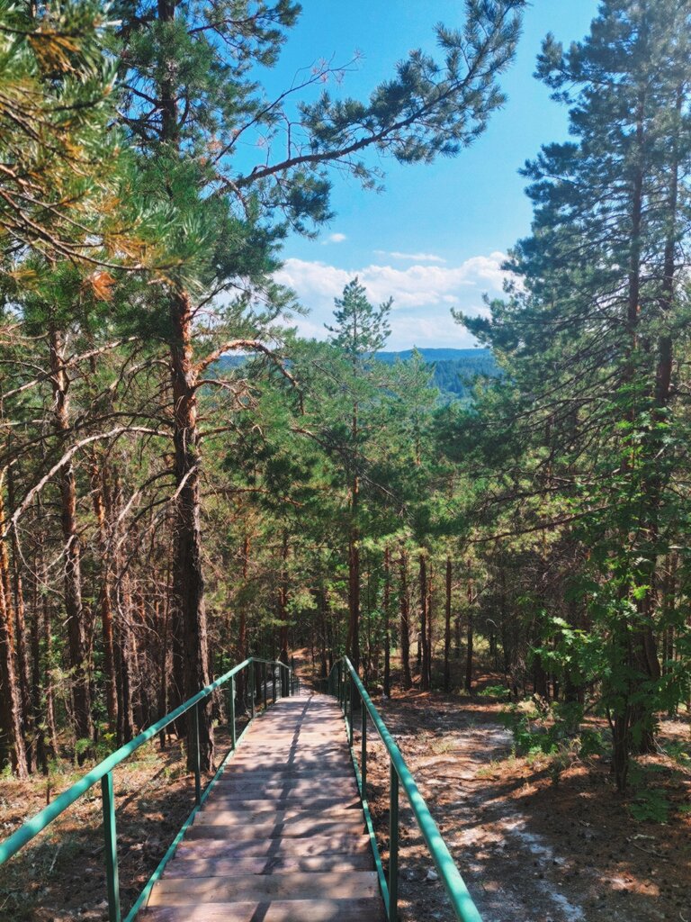 Doğa Экологическая тропа Заповедный край, Saratovskaya oblastı, foto