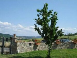 Pergolato di Sotto (Via Pergolato 4/M,50026 Loc. Bargino,San Casciano in Val di Pesa,Firenze,), otel  Toskana'dan
