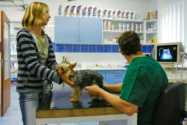 Veteriner klinikleri MVDr. Rastislav Mrázko, veterinárny lekár, Bratislava, foto