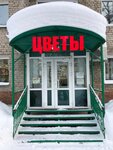 Цветы (ulitsa Berzina No:4), çiçekçiler  Krasnovişersk'ten