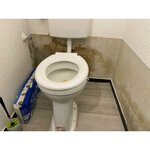 Schadenfrosch - 24h Notdienst (Hauptstraße No:16, Göppingen), sıhhi tesisat hizmetleri  Goppingen'dan