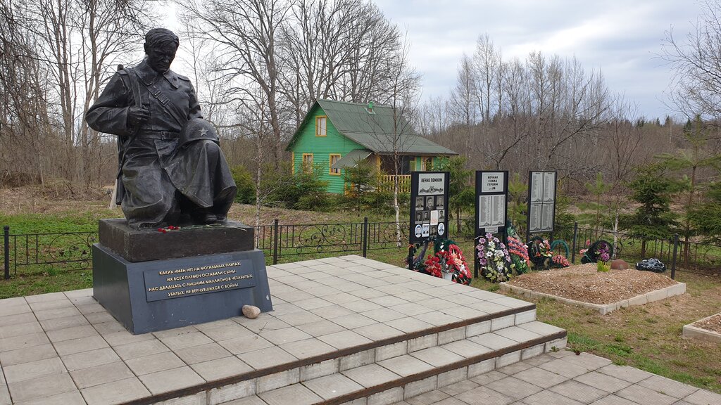 Anıt, heykel Советскому солдату, Novgorodskaya oblastı, foto