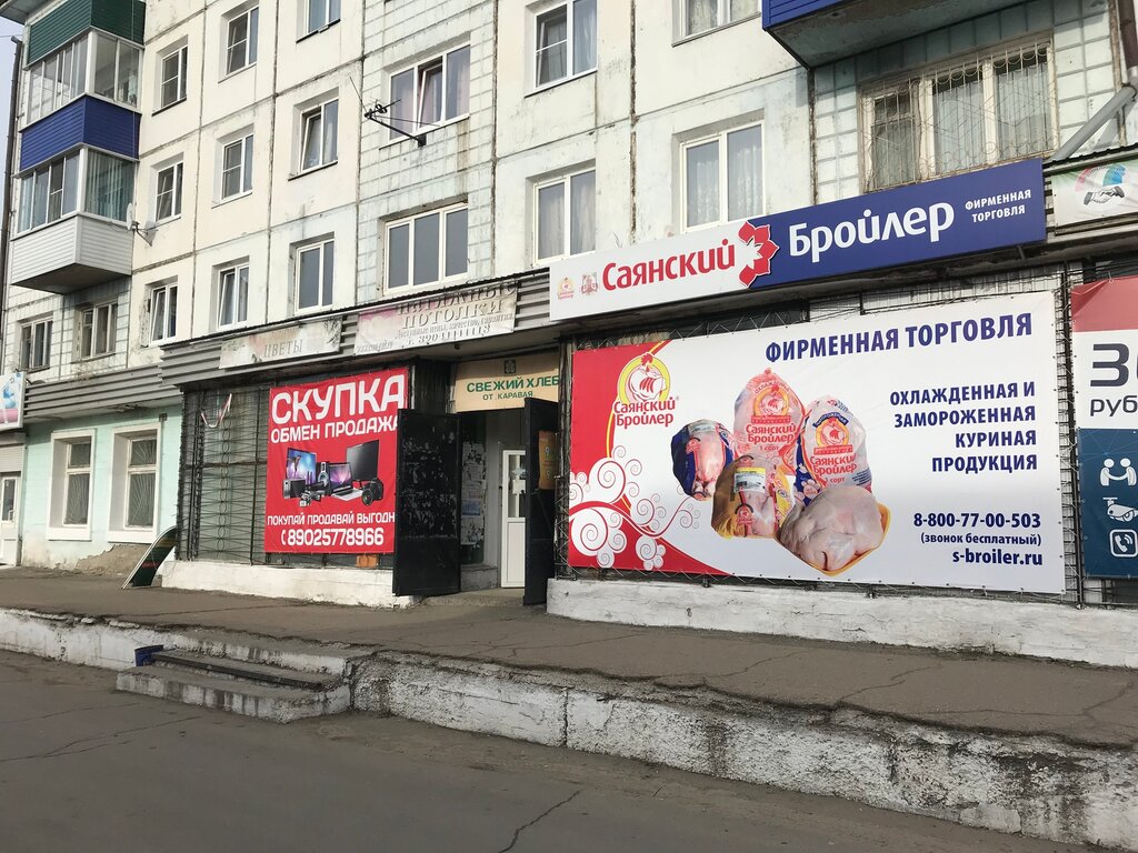 Kanatlı hayvan ürünleri ve yumurta Saianskii Broiler, İrkutskaya oblastı, foto