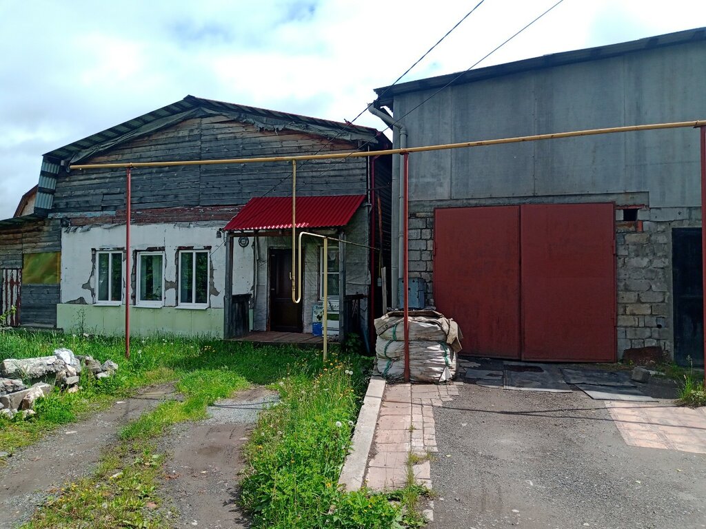 Evcil hayvan yetiştiricileri Pitomnik DeVil Staff, Nijni Tagil, foto