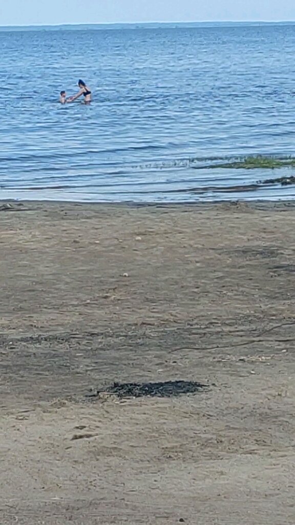 Plaj Пляж, Vologodskaya oblastı, foto