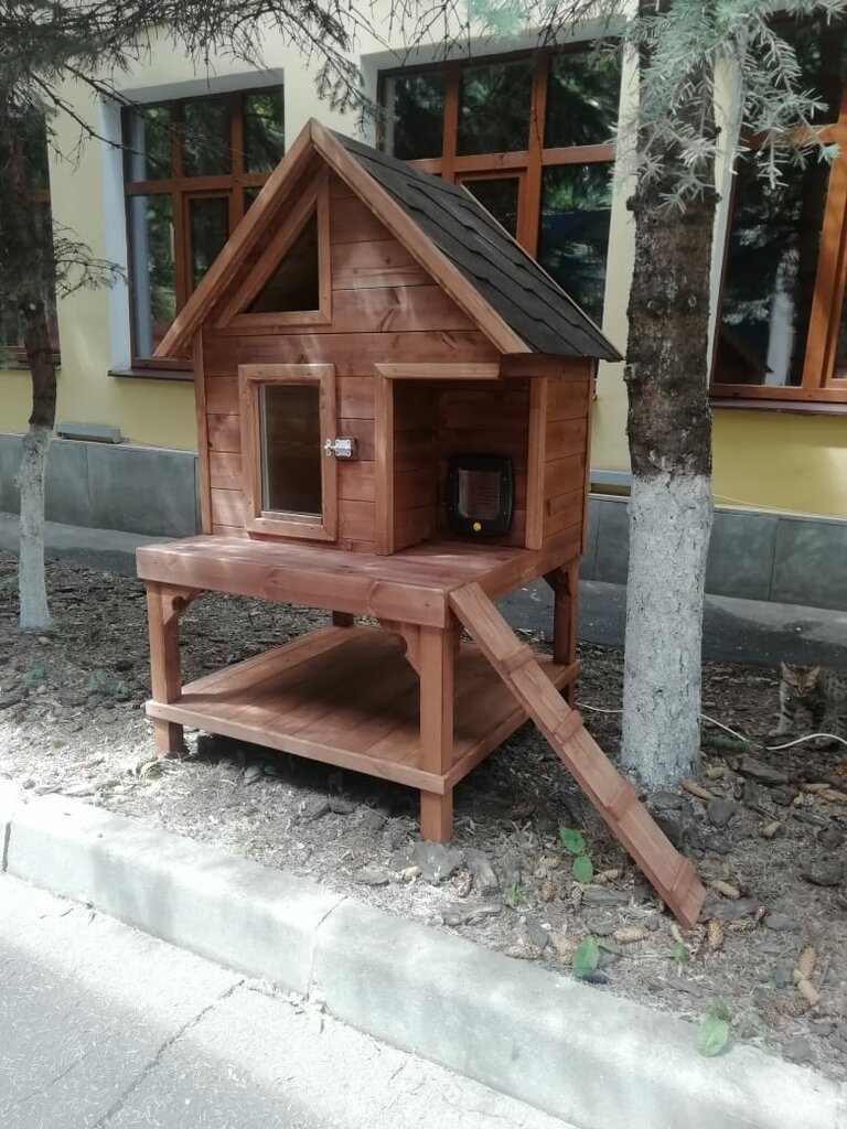 Evcil hayvanlar için ürünler Dom Sobaki, Vidnoye, foto