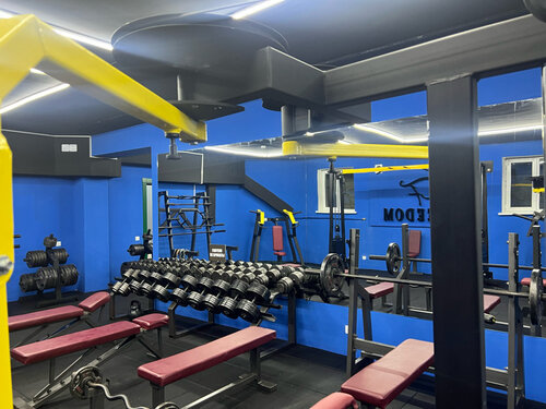 Fitness Empire 15 9