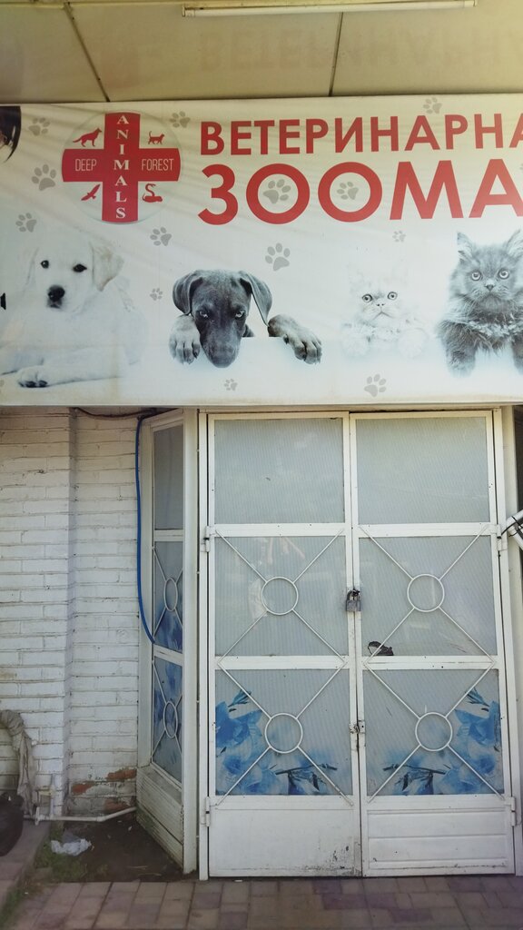 Veteriner klinikleri Deep forest animals, Taşkent, foto