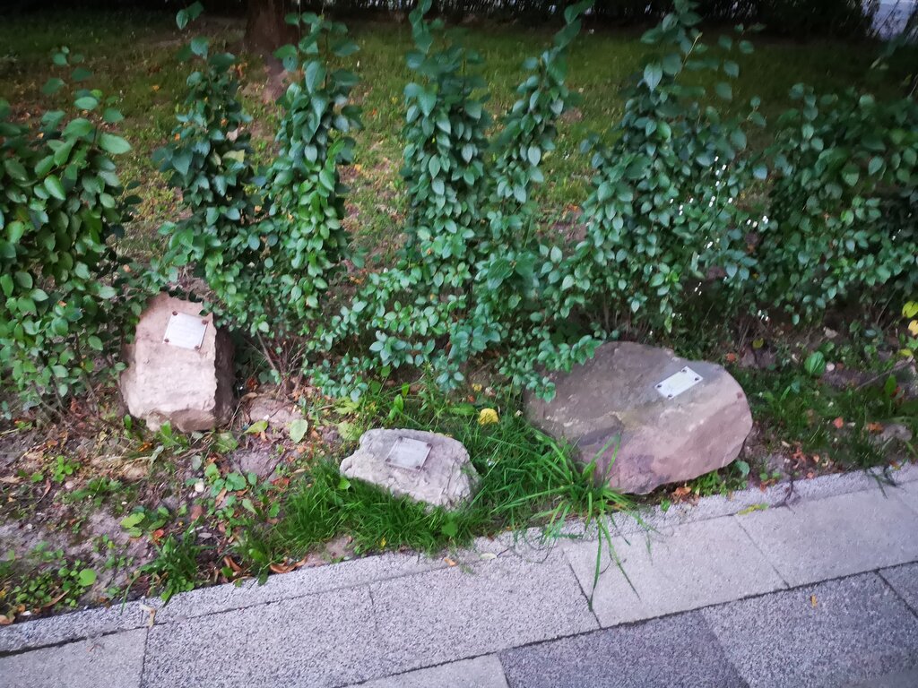 Doğa Сад камней, Riazan, foto