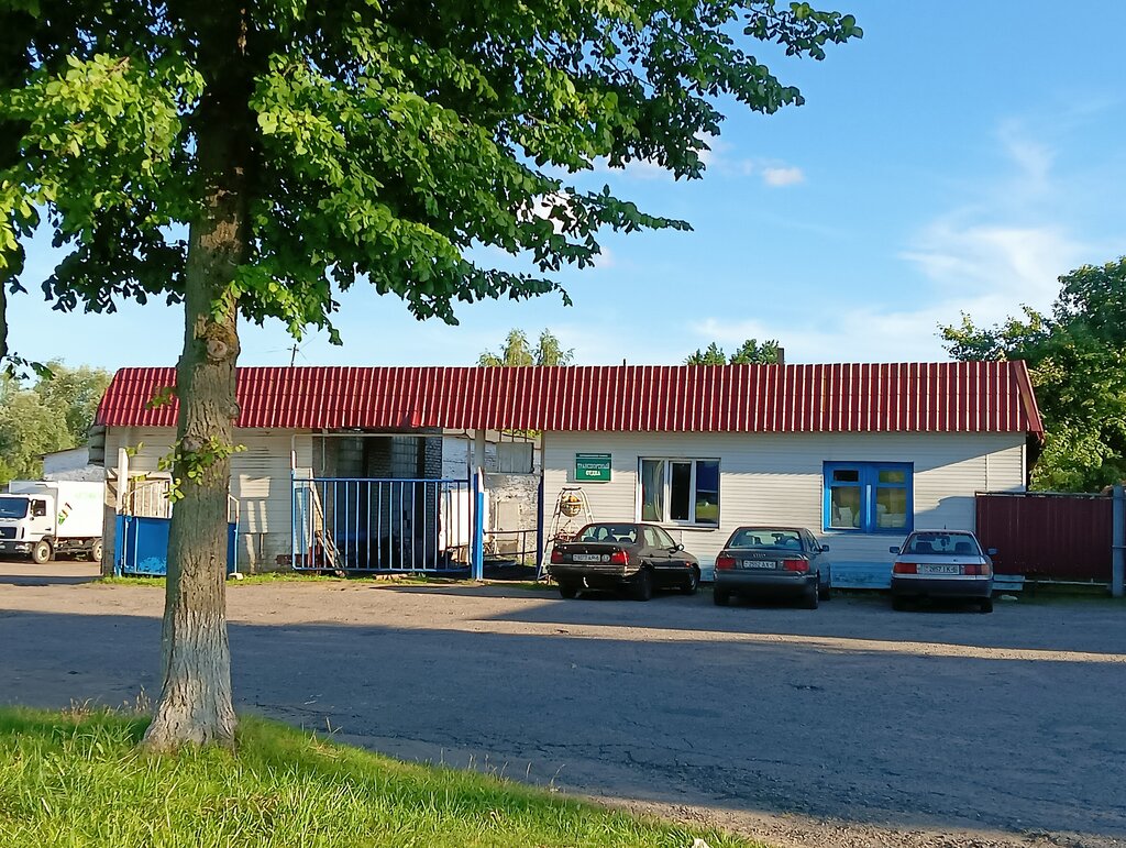 Otopark ve tamirhaneler Belynichskaya Avtokolonna Unitarnoye predpriyatiye, Bialynichy, foto