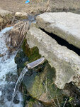 Родник (Autonomous Republic of Crimea, Maliy Salgir River), pınar, çay  Simferopol'dan (Akmescit'ten)