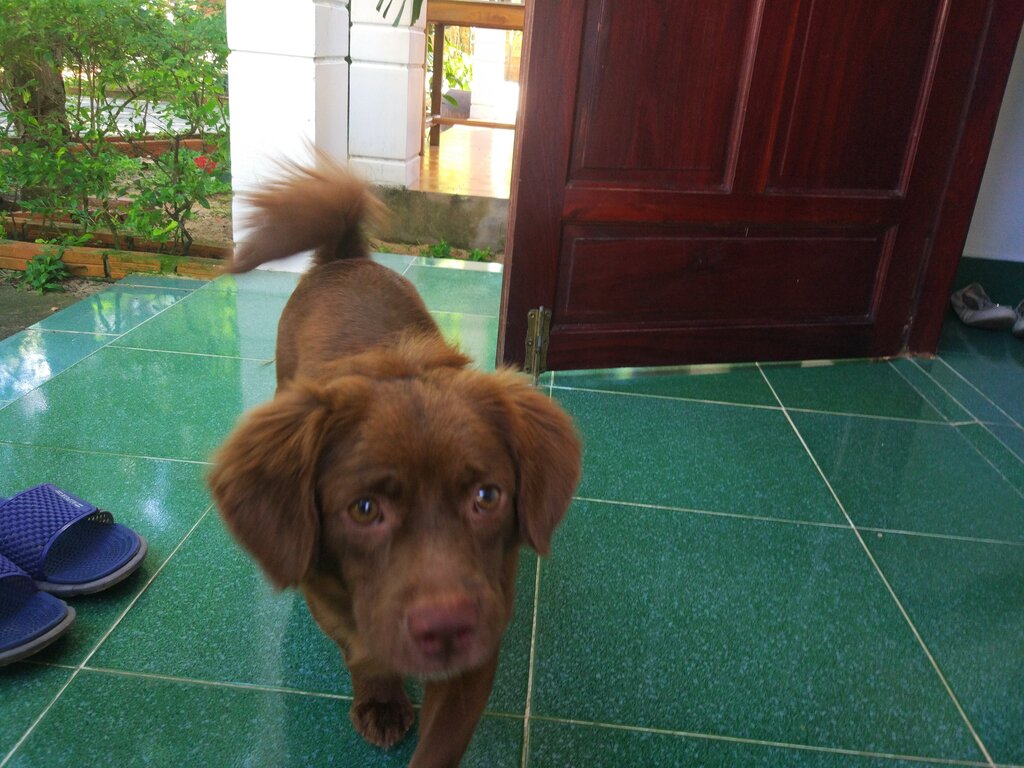 Otel Huyen Tran Bungalow, Phan Thiet, foto