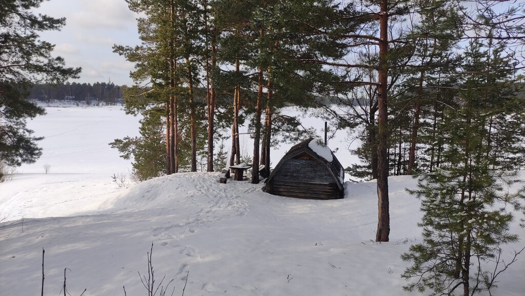 Resort oteller, tesisler Зимница, Nijegorodskaya oblastı, foto