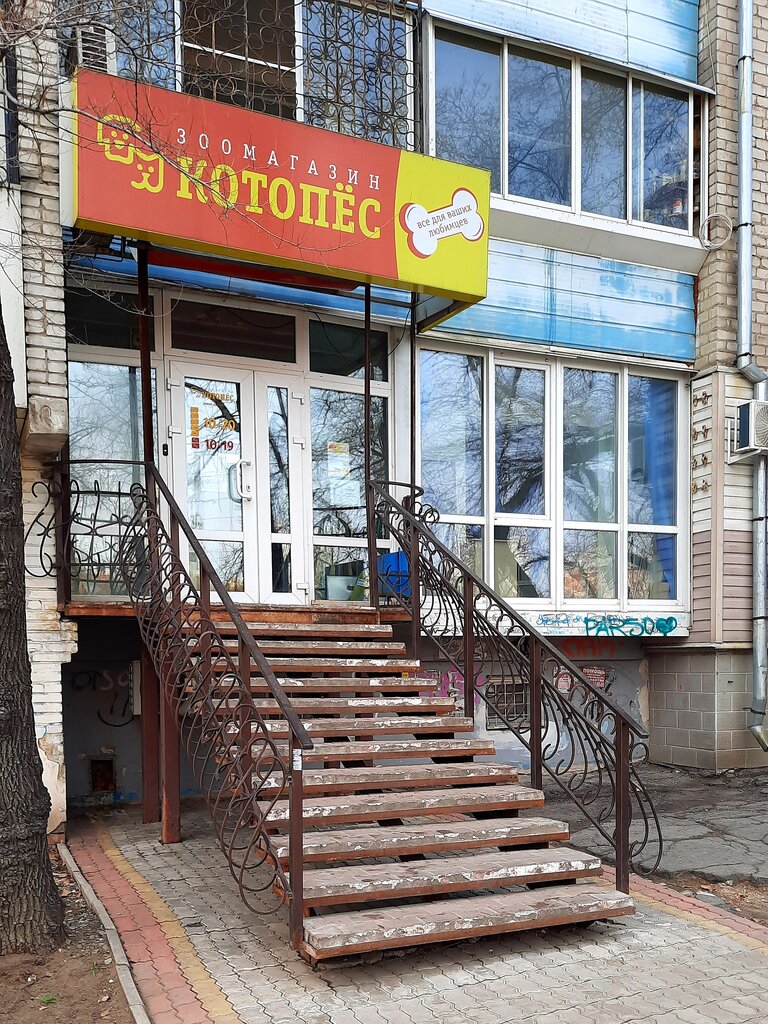 Petshop Котопес, Habarovsk, foto