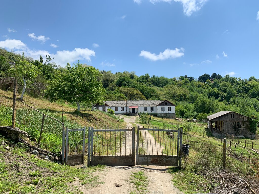 Ortaokul Школа, Gulripş Bölgesi, foto