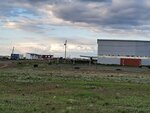 Novator (gorodskoy okrug Volgograd, aerodrom Beketovka), jeoloji, jeofizik  Volgogradskaya oblastından
