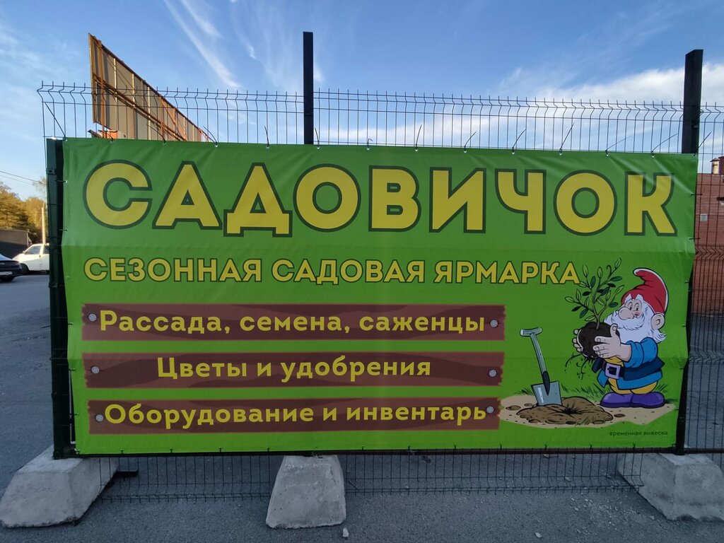 Sera ve bahçe ürünleri Sadovichok, Saint‑Petersburg ve Leningradskaya oblastı, foto