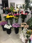FlorGift (Zurab Anjaparidzes Street No:65A), çiçekçiler  Tiflis'ten
