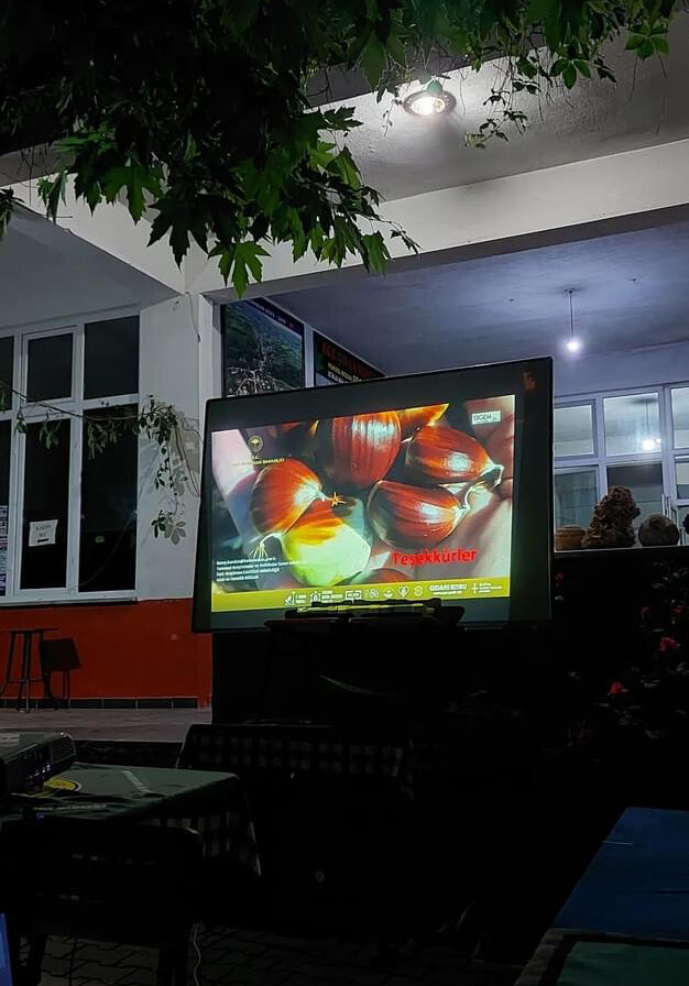 Muhtarlıklar Söğütalan Köy Muhtarlığı, Çan, foto