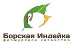 Borskaya indeyka (Kirova Avenue No:2Д), ürün teslimatı  Samara'dan