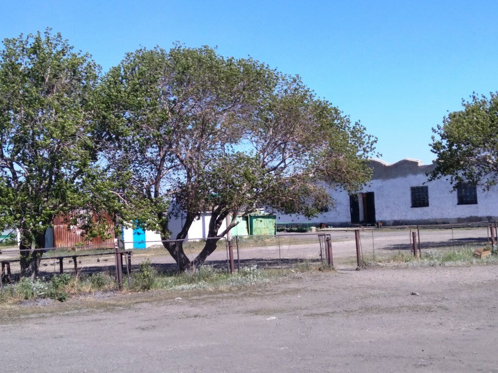 Giyim pazarı Central Bazaar, Tayınşa, foto